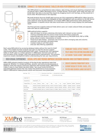 XMPro PivotGrid | PDF