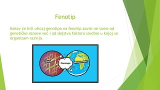 Fenotip, fenotipska plastičnost | PPTX