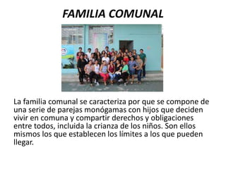Concepto tipos caracteristicas_de_las_familias_t.s_familiar | PPTX