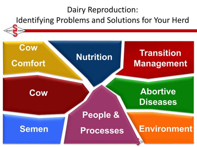 Dairy Reproduction: Identifying Problems and Solutions for Your Herd ...