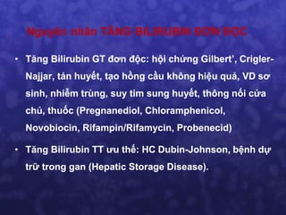 Bilirubin T.T là gì? Tìm hiểu về chỉ số quan trọng cho sức khỏe gan