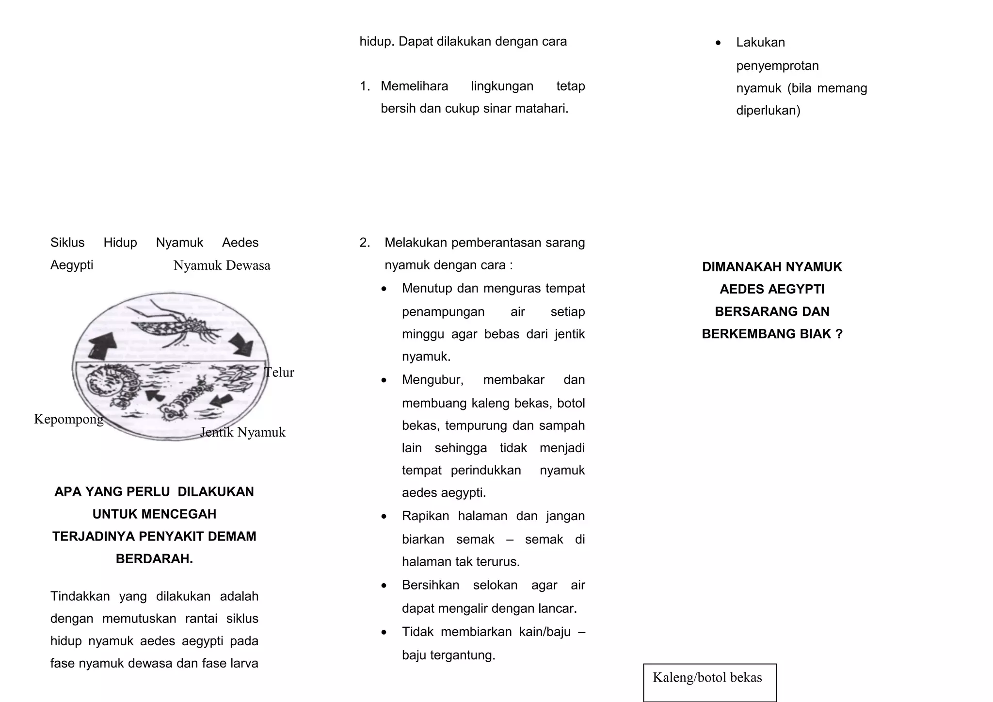 Leaflet dhf492 | PPT