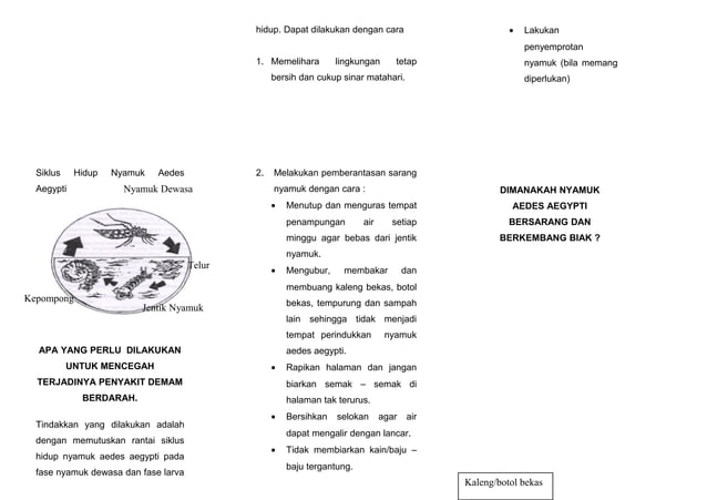 Leaflet dhf492 | PPT
