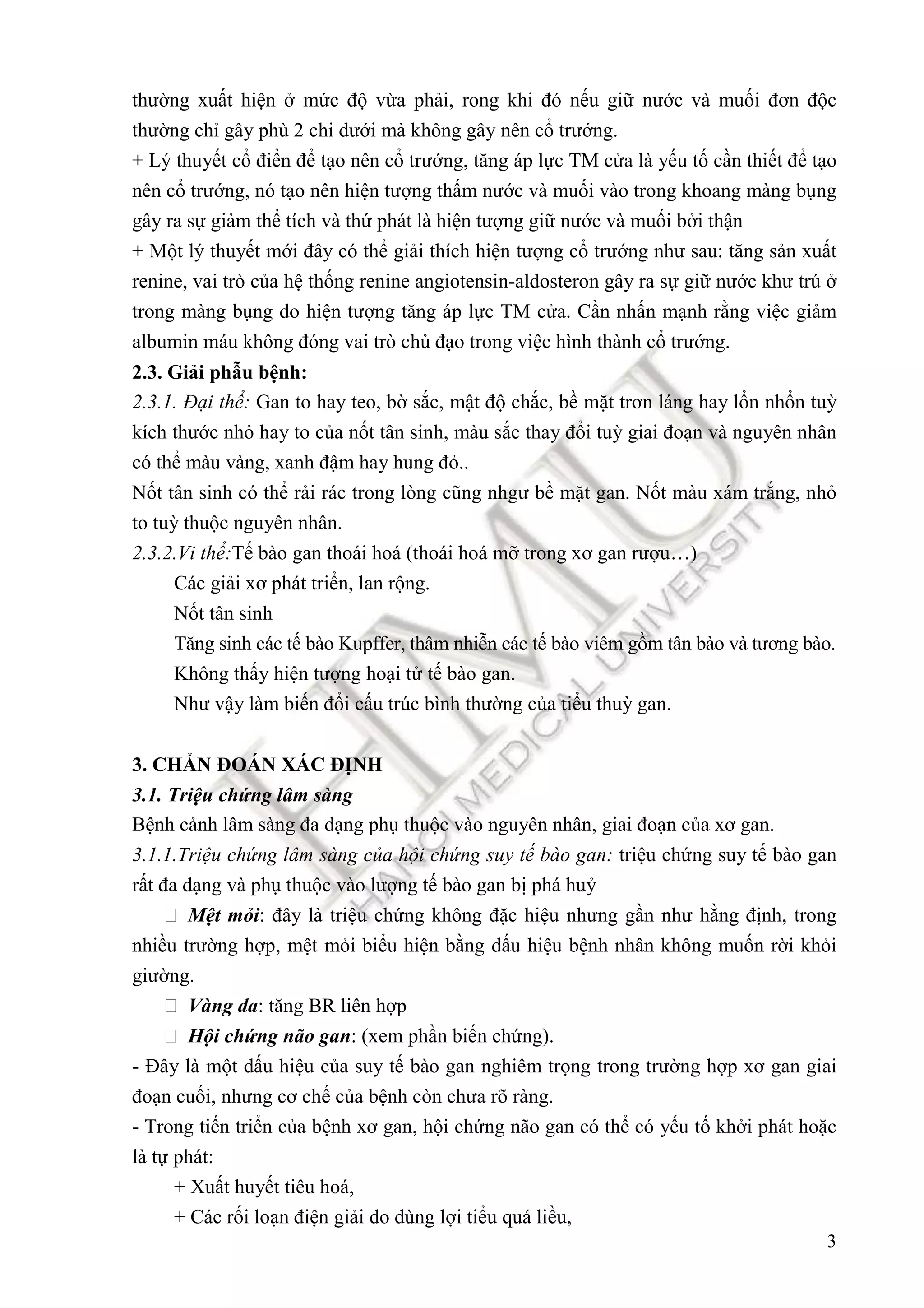 Xo gan Y hà nội | PDF