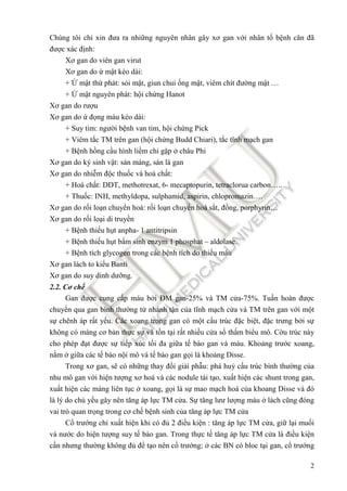 Xo gan Y hà nội | PDF