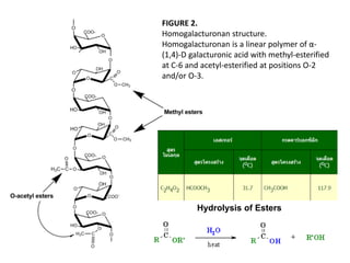 XOS saminar.pptx | Chemistry | Science