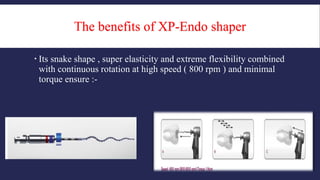 XP-Endo file / Dr.Sarah Alkhateeb | PPTX