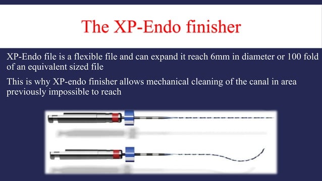 XP-Endo file / Dr.Sarah Alkhateeb | PPTX