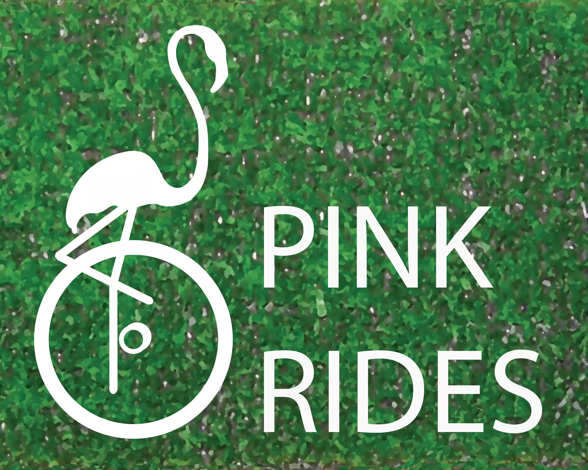 Pink Rides | PDF