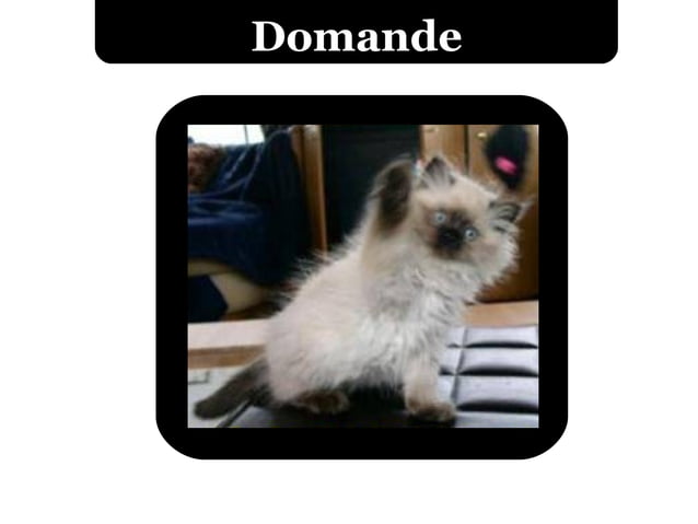 XPath Injection | PPT