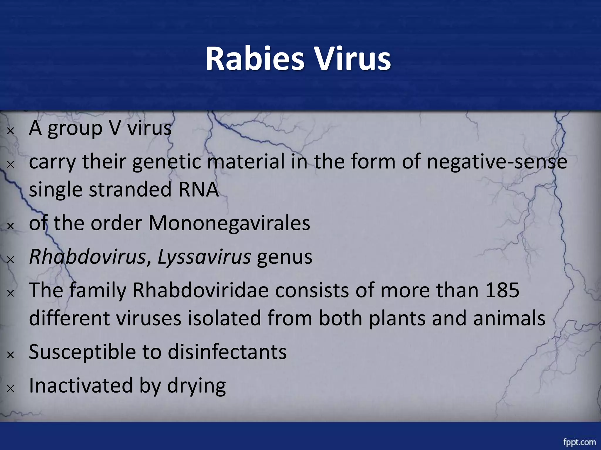 Rabies Virus - Lyssavirus | PPT