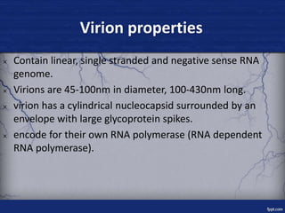 Rabies Virus - Lyssavirus | PPTX