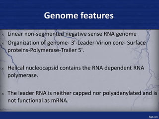 Rabies Virus - Lyssavirus | PPTX