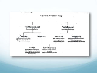 psychology_chapter_5_learning_and_its_principles.ppt