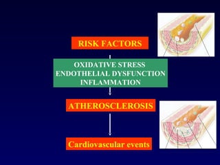 Endothelial function.aha. | PPT