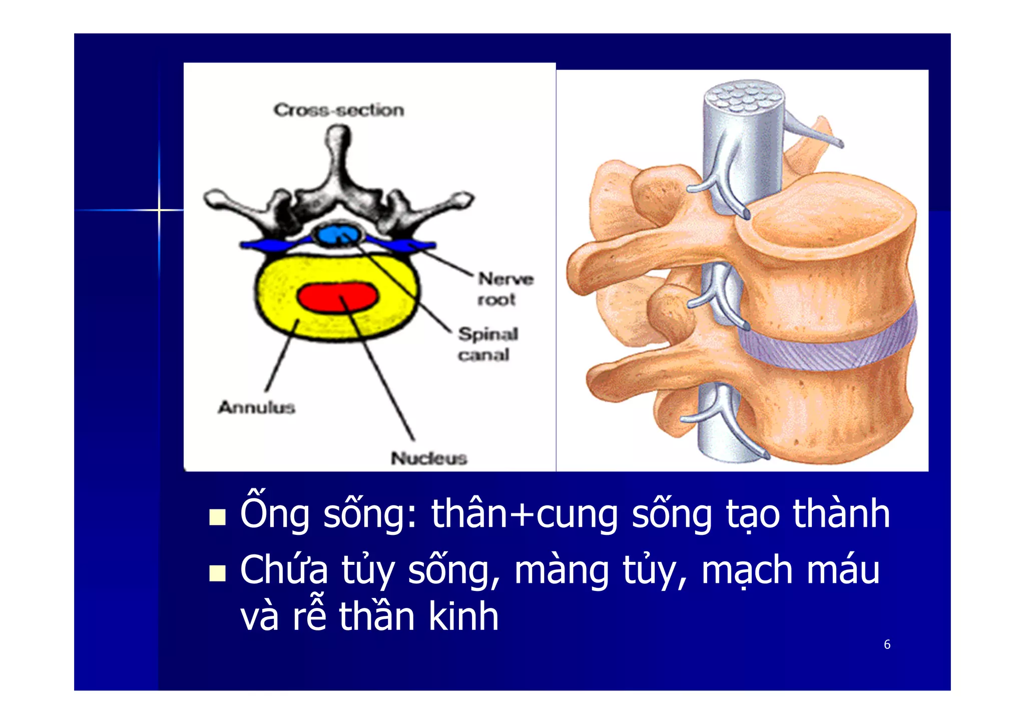 Xquang Cot Song Pdf