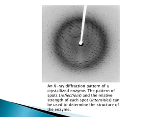X ray | PPTX