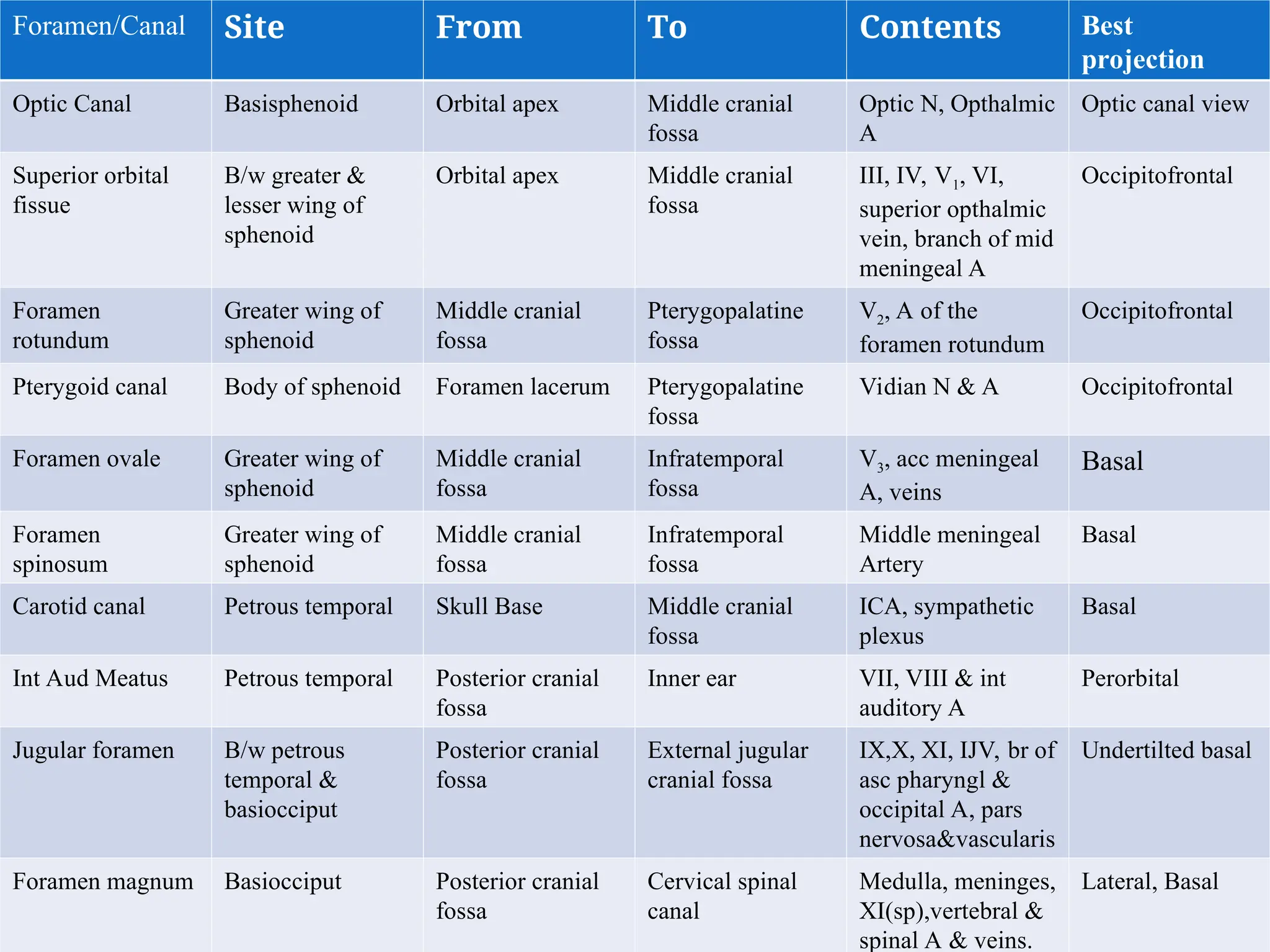X RAY ANATOMY OF NORMAL SKULL.ppt heiejehehueh | PPT