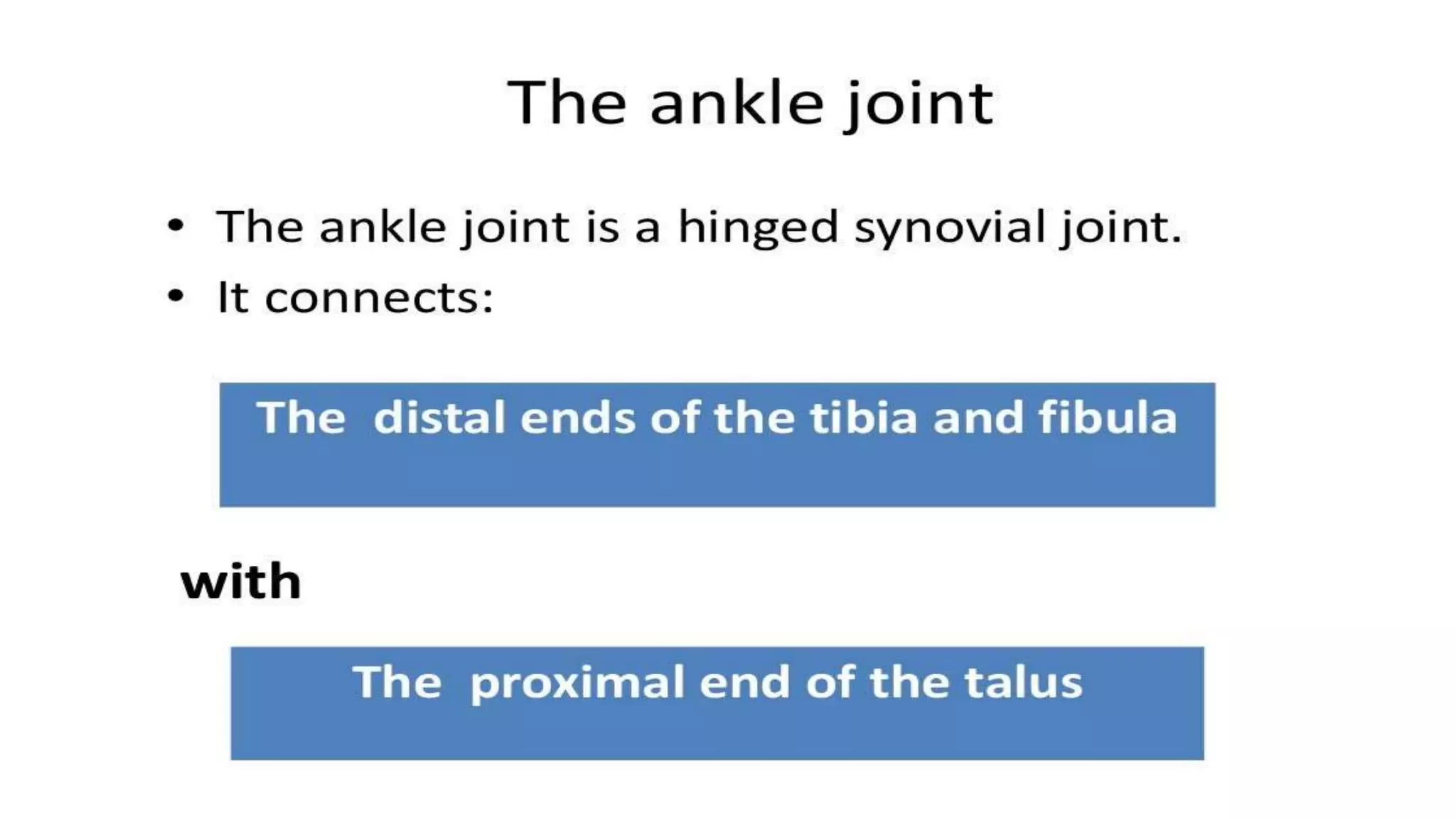 XRAY ANKLE POSITIONING.pptx