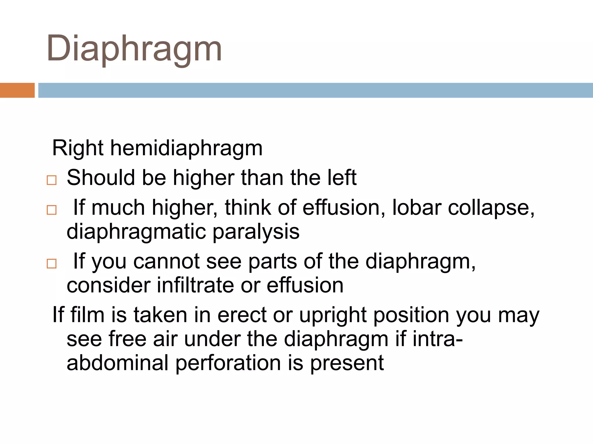 chest X ray basics and interpretation | PPTX