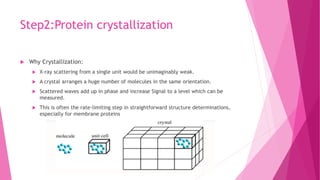 X ray crystallography analysis | PPTX