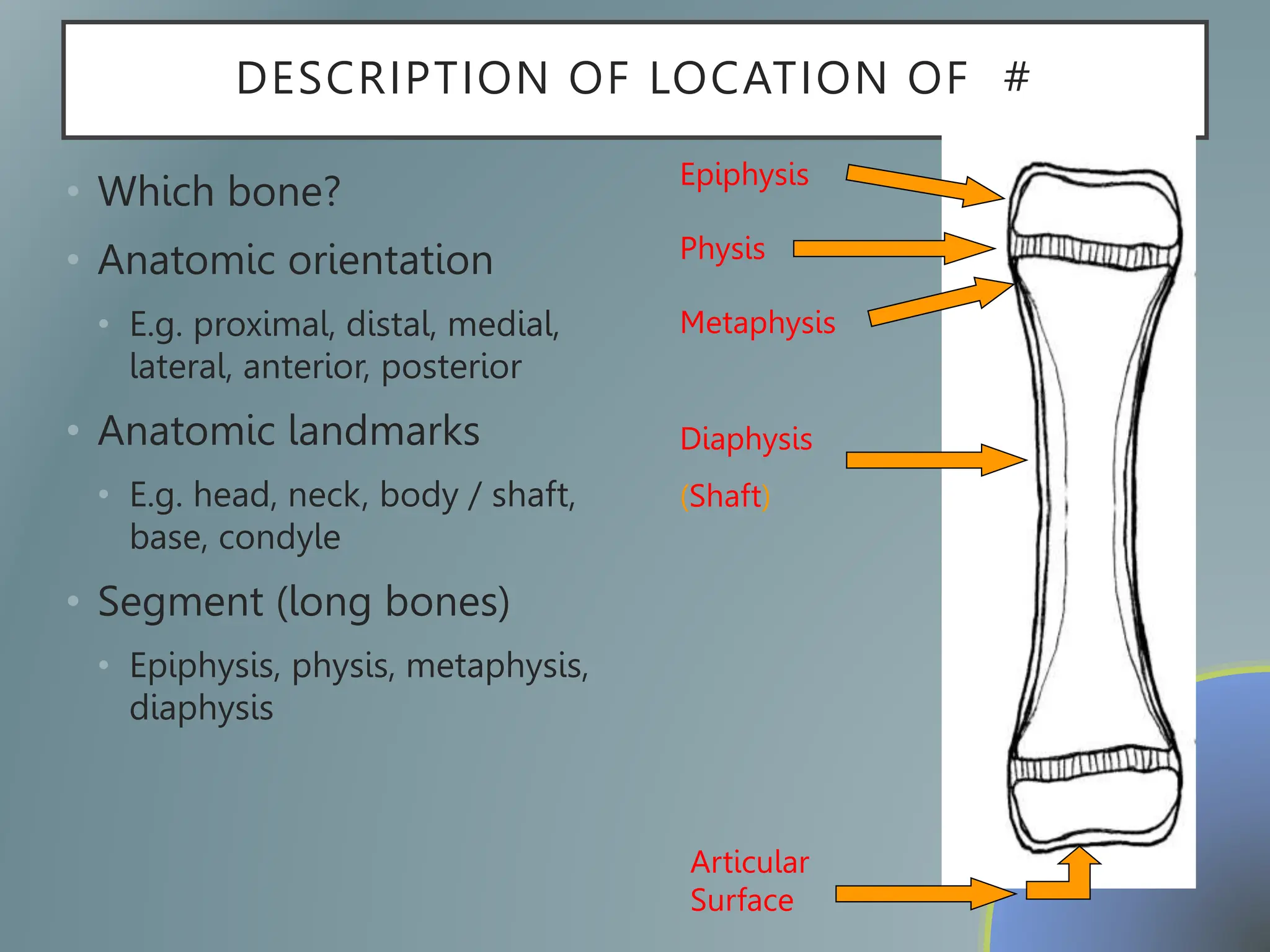 x ray diagnostics of fractures and dislocations.pptx