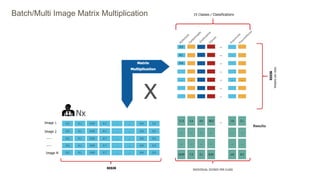 X ray Image Classification | PPTX