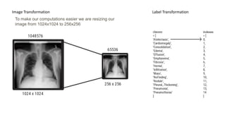 X ray Image Classification | PPTX