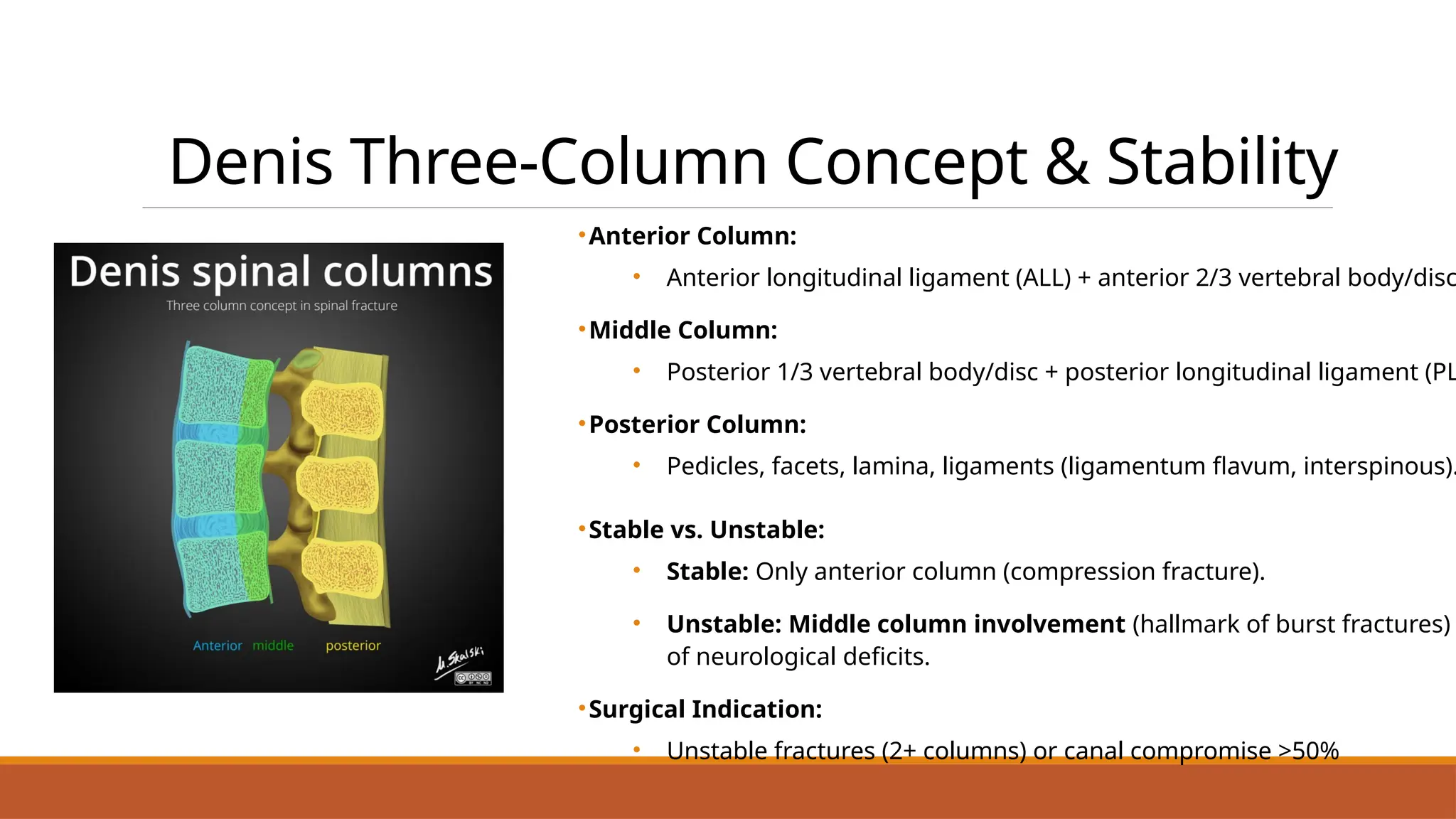 X ray Lumbosacral spine/ l s spine..... | PPTX