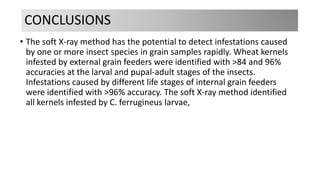 x ray microscopic image analysis to detect infestations caused by ...
