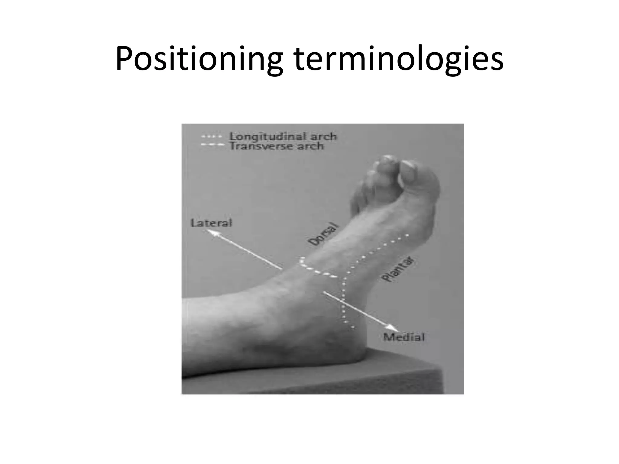 X ray of foot and ankle | PPTX