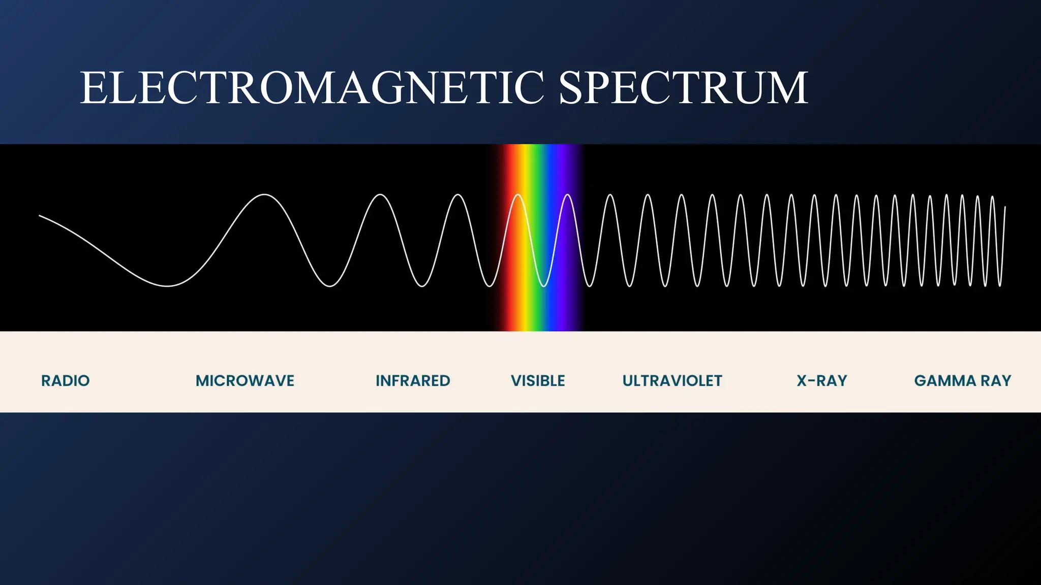 Interaction of xrays and gamma rays with matter | PPTX