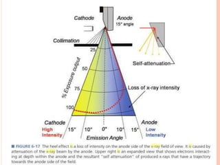 X Rays Production Animation
