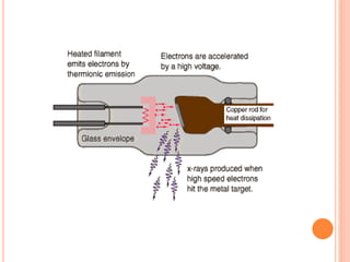 X Rays Production Animation