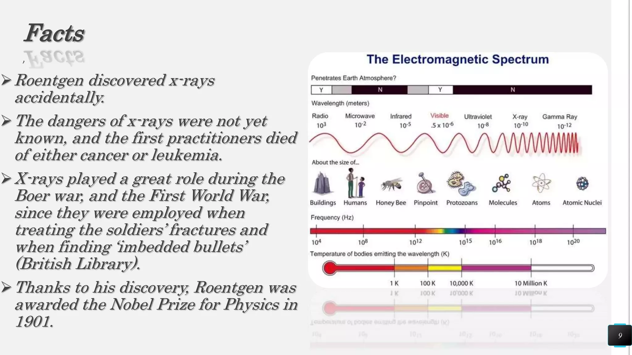 X -Rays | PPTX