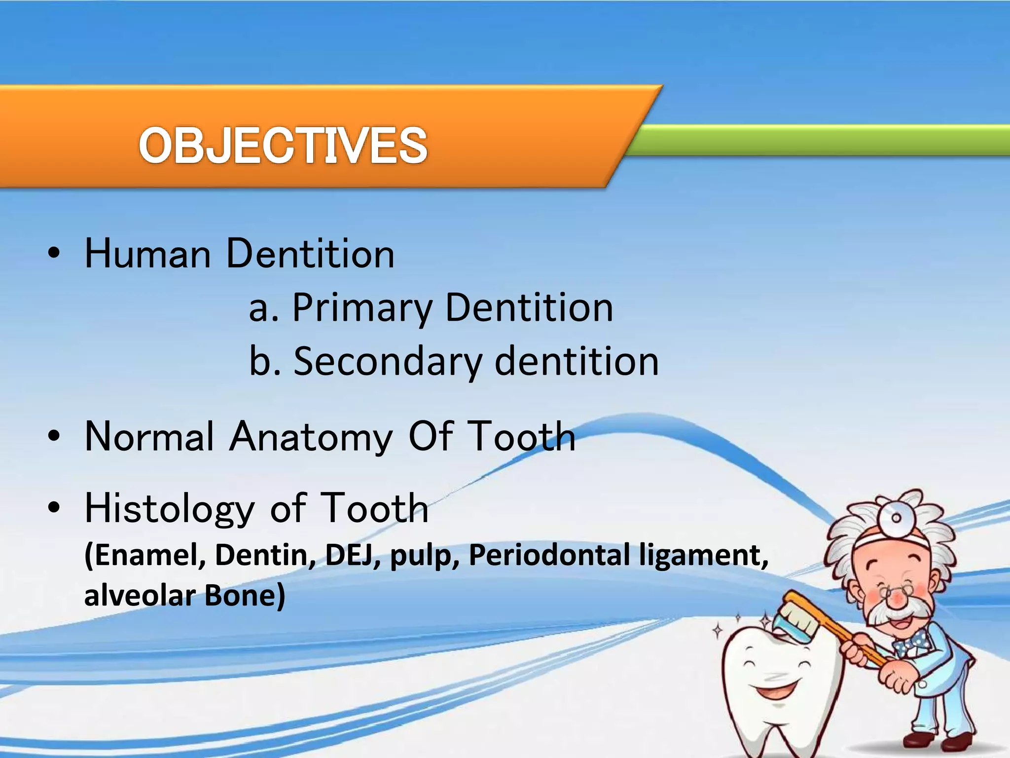 Anatomy and morphology of teeth | PPTX