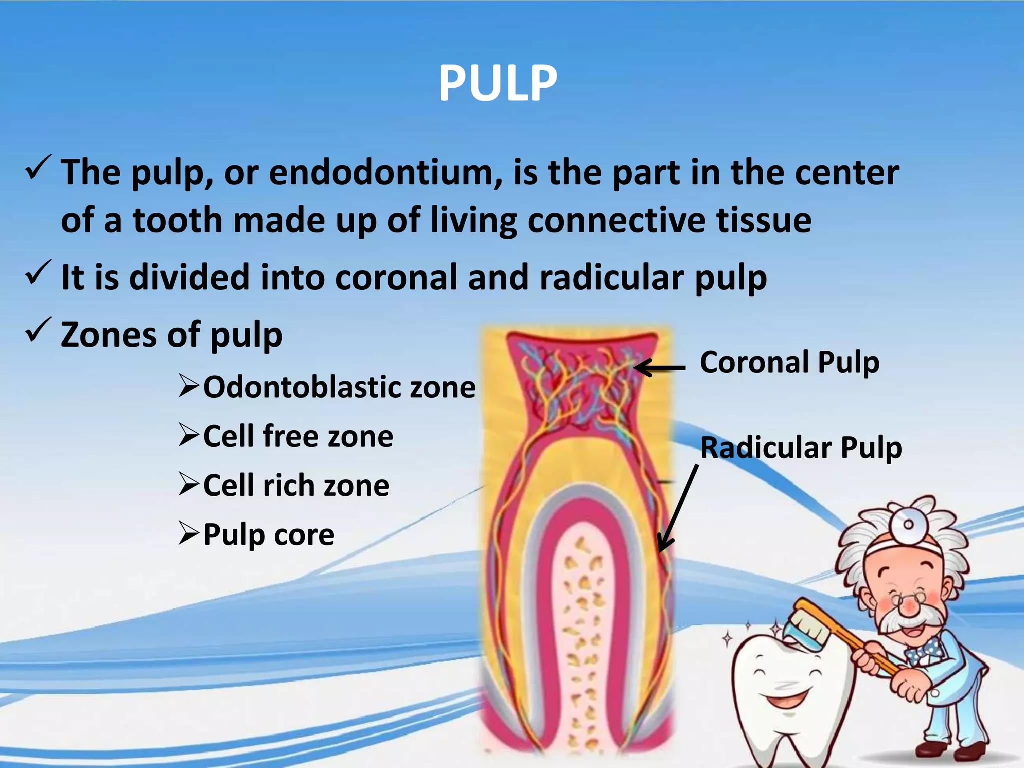 Anatomy and morphology of teeth | PPTX