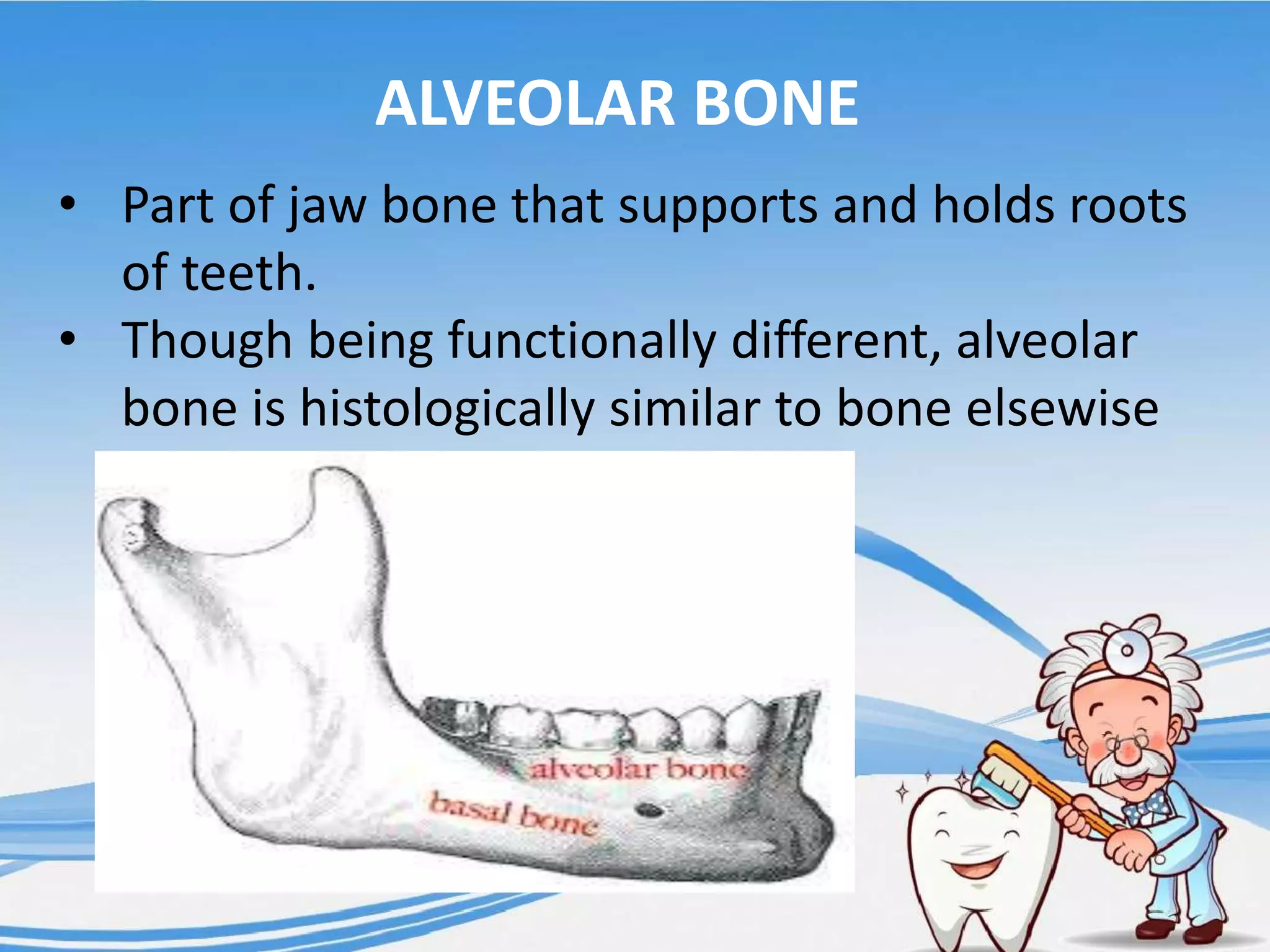 Anatomy and morphology of teeth | PPTX