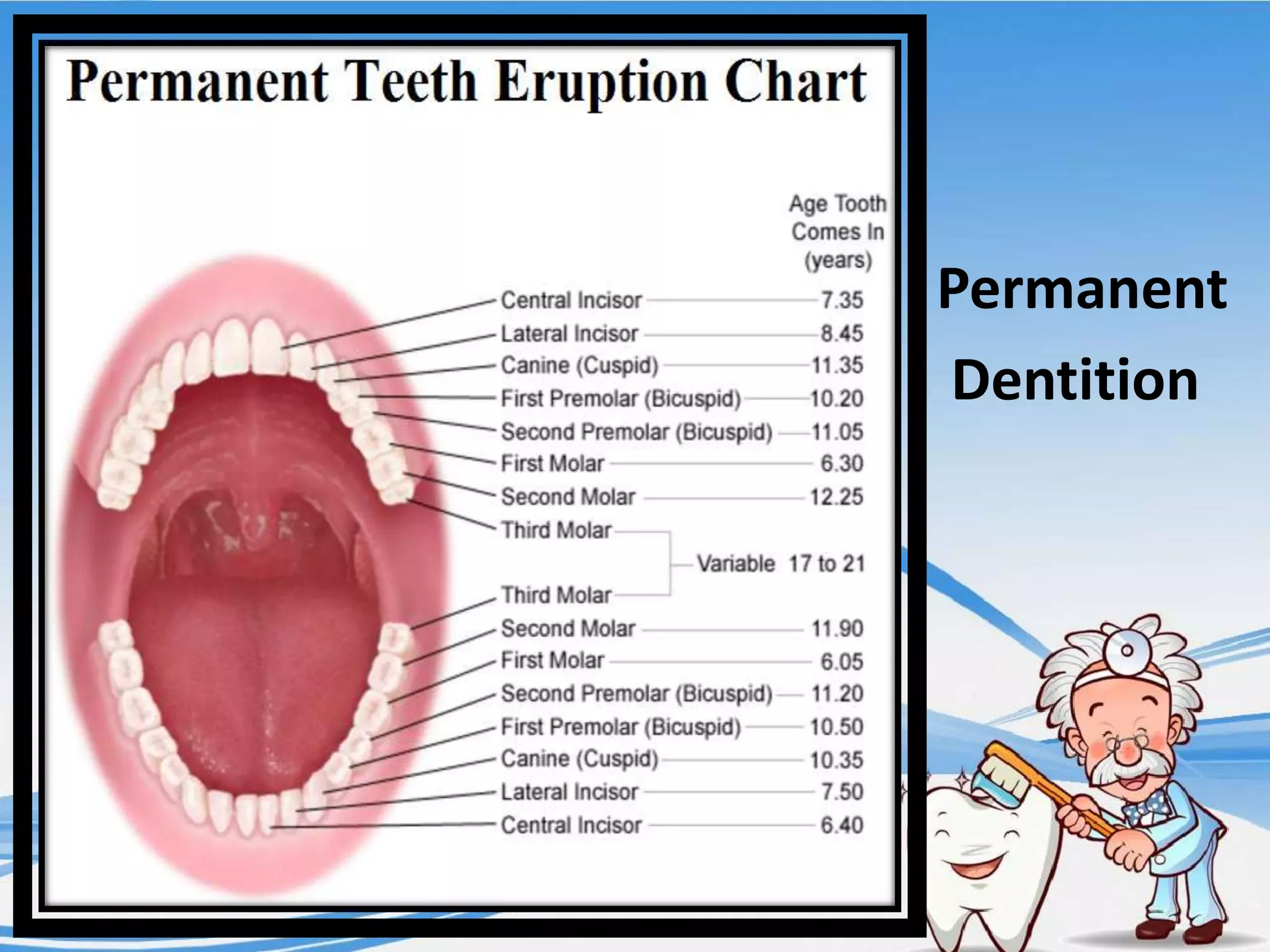 Anatomy and morphology of teeth | PPTX