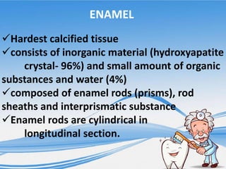 Anatomy and morphology of teeth | PPTX
