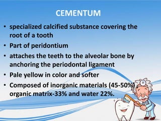 Anatomy and morphology of teeth | PPTX