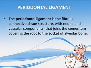Anatomy and morphology of teeth | PPTX