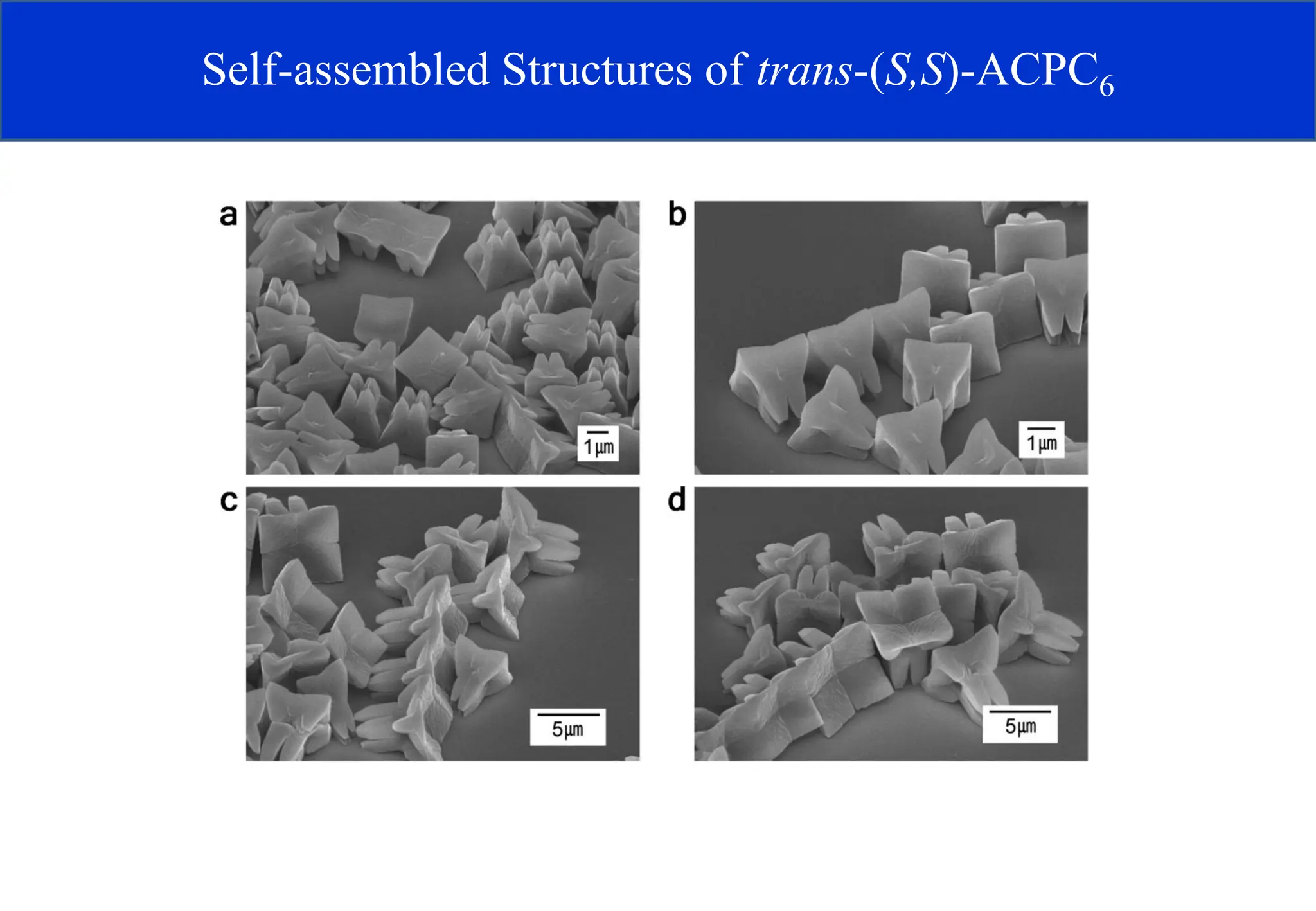 X Ray Powder Diffraction Structure Determination Ppt