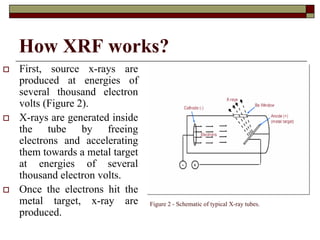 Presentation on environmental science notes | PPT