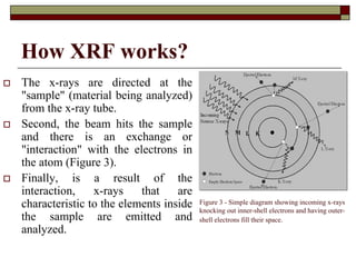 Presentation on environmental science notes | PPT