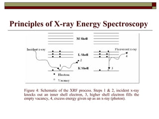 Presentation on environmental science notes | PPT