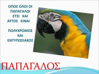 Φυτά και ζώα του τροπικού δάσους | PPT