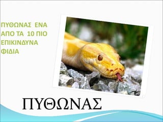 Φυτά και ζώα του τροπικού δάσους | PPT