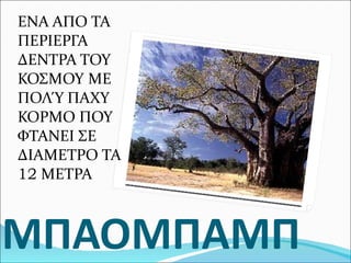 Φυτά και ζώα του τροπικού δάσους | PPT