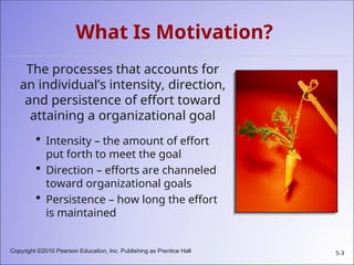 XRobbins_EOB10_Basic_PPT_CH05.ppt....... | PPT